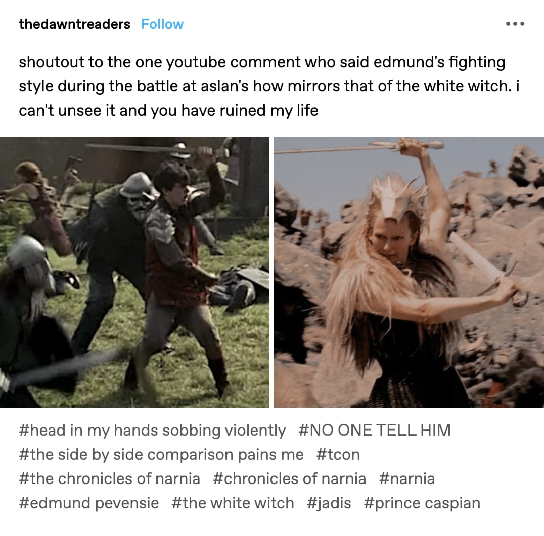 Fans Are Sharing Observations From 'The Chronicles Of Narnia' That Have ...
