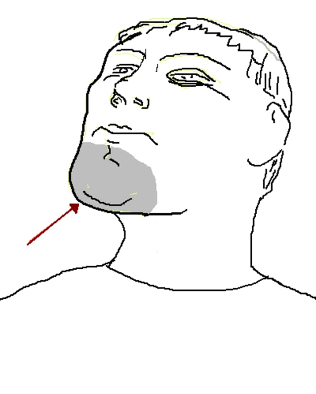 Ranker Readers Are Sharing The Unbelievable Stories About The First ...