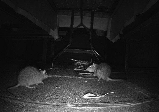 Ranker Readers Reveal Their Worst Experience At A Movie Theater