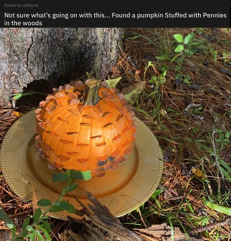 People Ask For Help Identifying Weird Objects, And The Answers Are ...