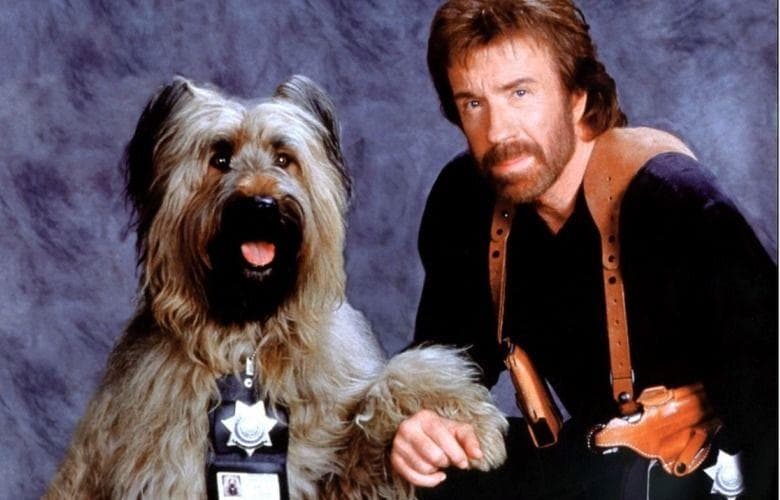 20 Times Action Stars Did A Kids’ Movie - And Nailed It
