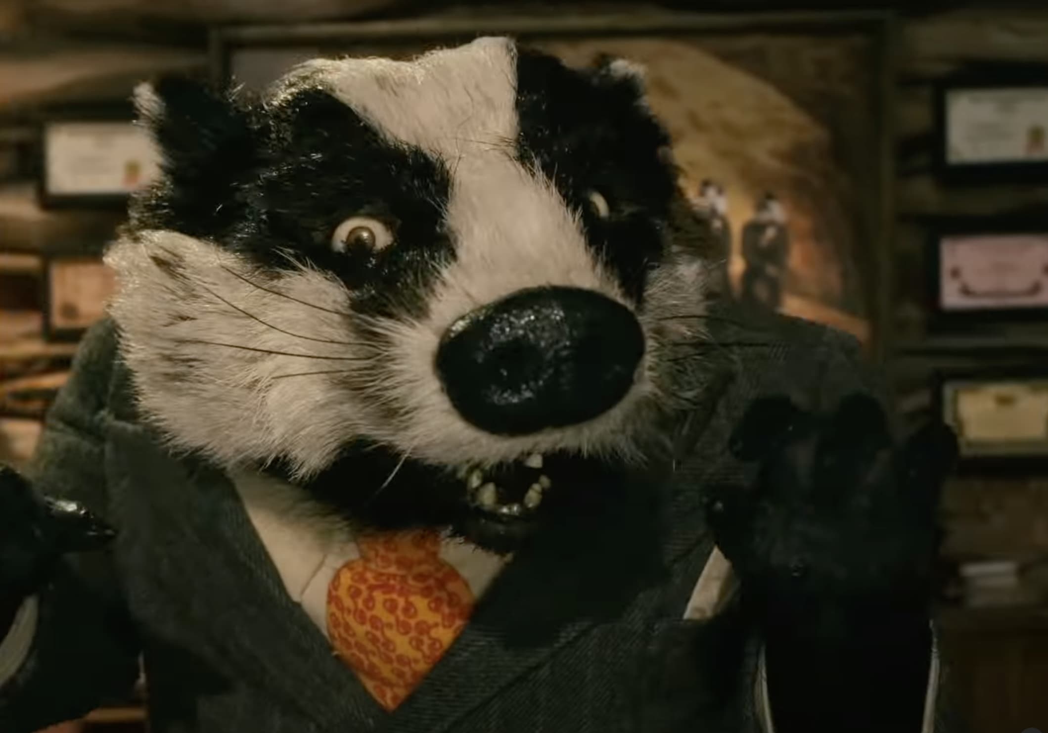 Animal Characters We Wish We Could Have As Roommates