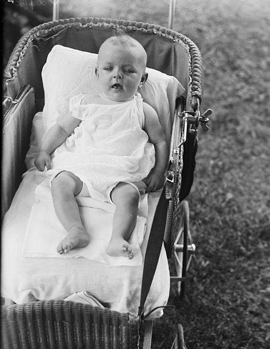 Facts About The 1920s That Are The Cat's Meow