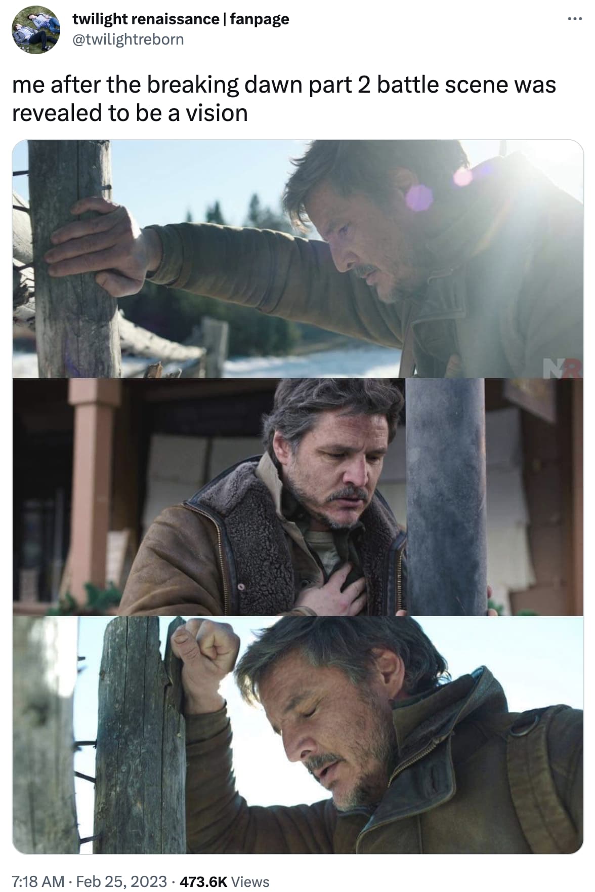 23 ‘Twilight’ Memes That Perfectly Capture Just How Absurd And Beloved ...