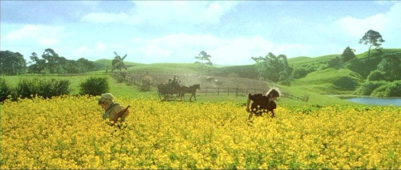 Things You Didn't Know About The Shire