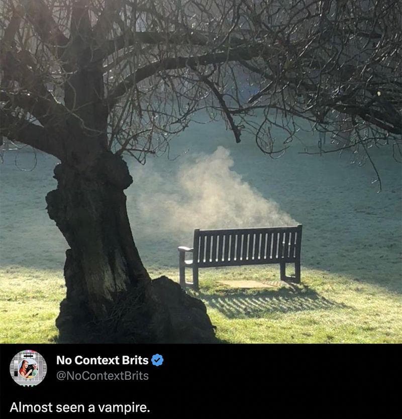 27 Cursed Posts And Twisted Tweets We Found That Made Us Smile In The ...