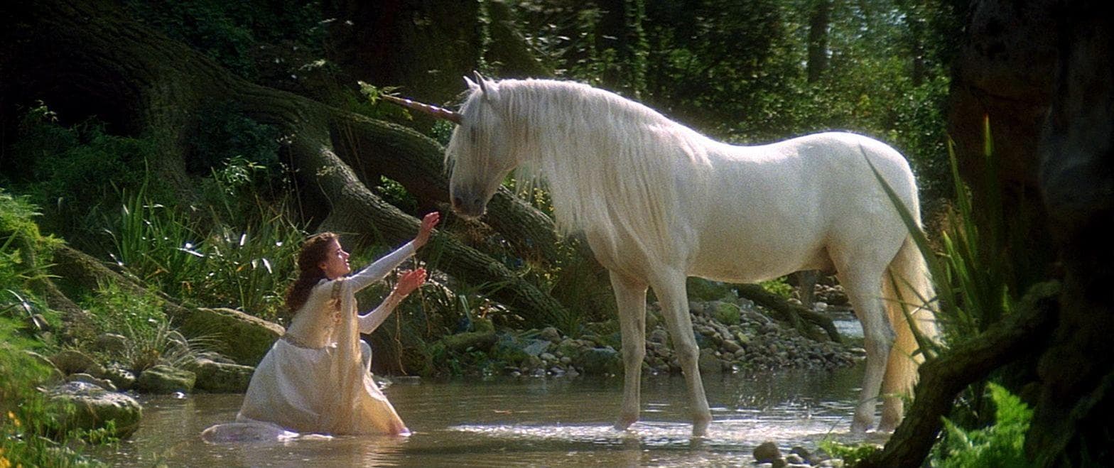 18 Details From Underrated Fantasy Movies That Surprised Us