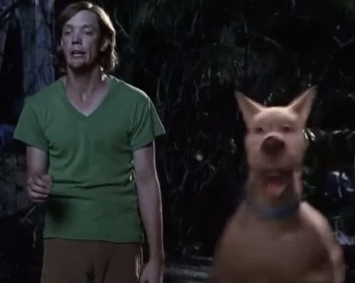 Small But Interesting Details About Shaggy From 'Scooby-Doo'