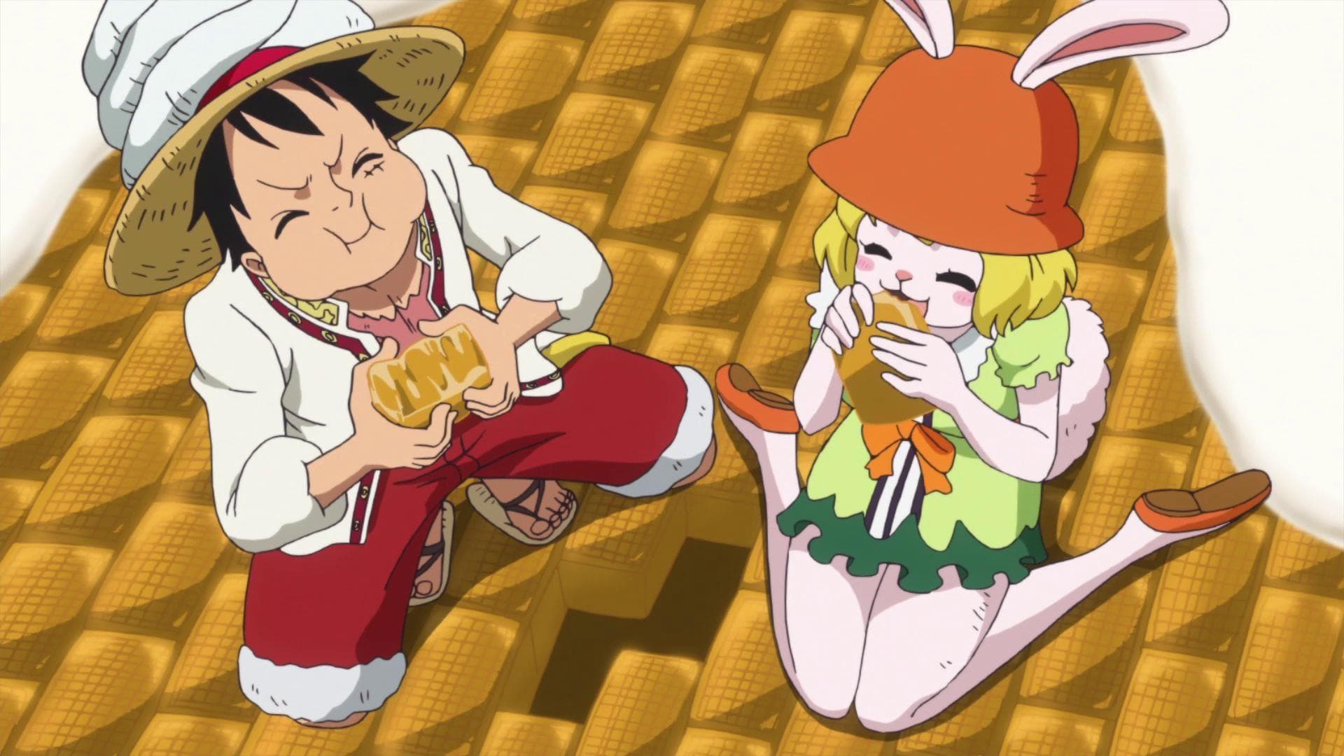 15 Things You Didn't Know About The Mink Tribe In 'One Piece'