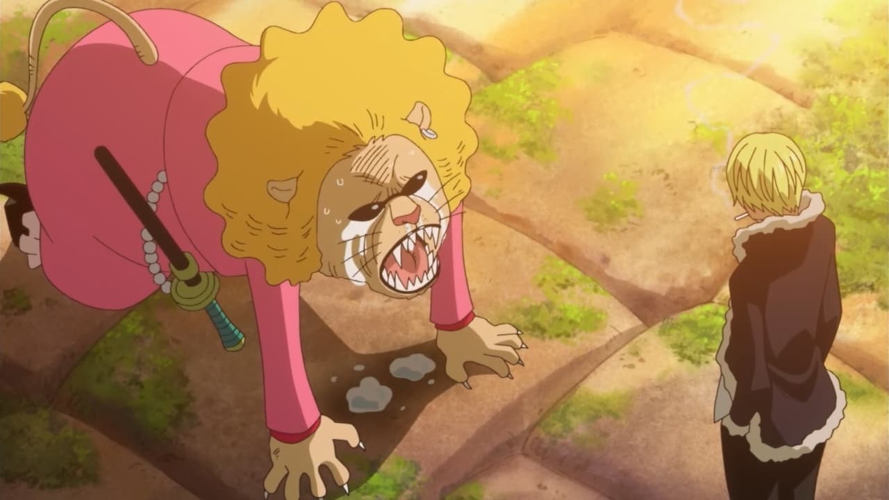 15 Things You Didn't Know About The Mink Tribe In 'One Piece'