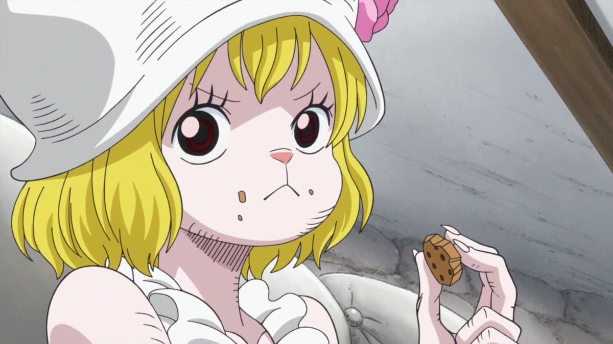 15 Things You Didn't Know About The Mink Tribe In 'One Piece'