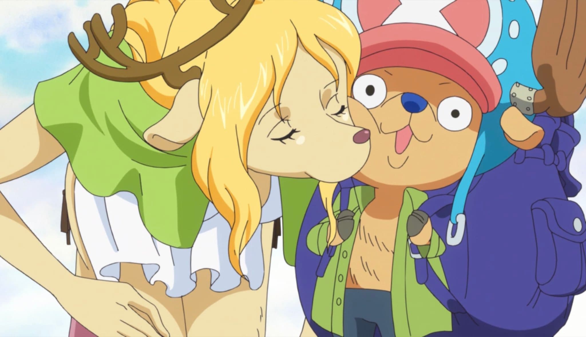 15 Things You Didn't Know About The Mink Tribe In 'One Piece'