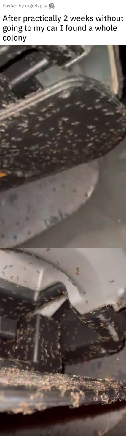 24 Oddly Unsettling Car Photos That Haunt The Back Of Our Minds