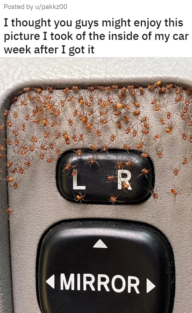 24 Oddly Unsettling Car Photos That Haunt The Back Of Our Minds