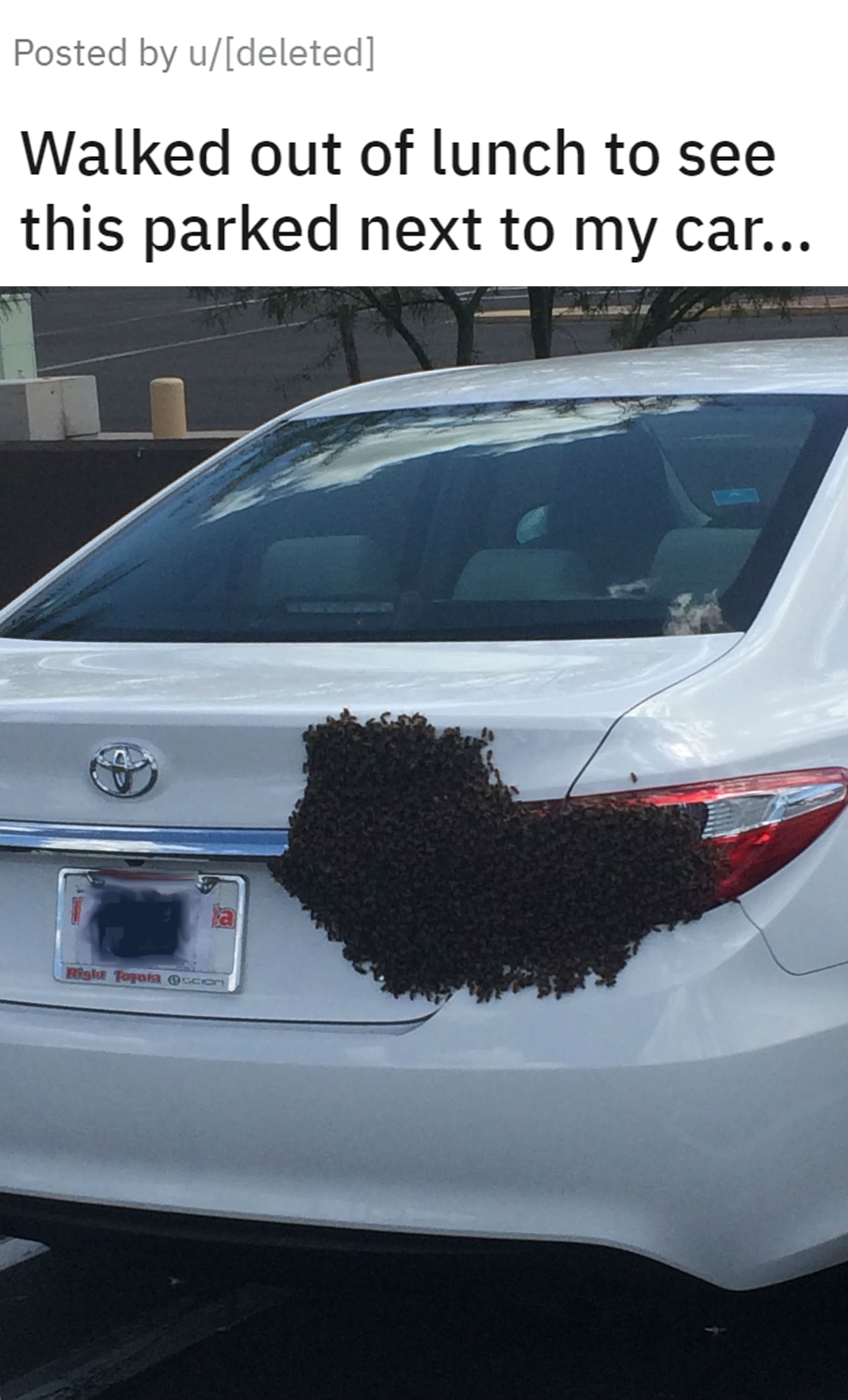 24 Oddly Unsettling Car Photos That Haunt The Back Of Our Minds