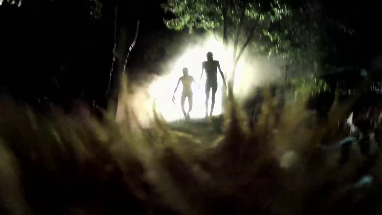 The Best Segments In The 'V/H/S' Franchise