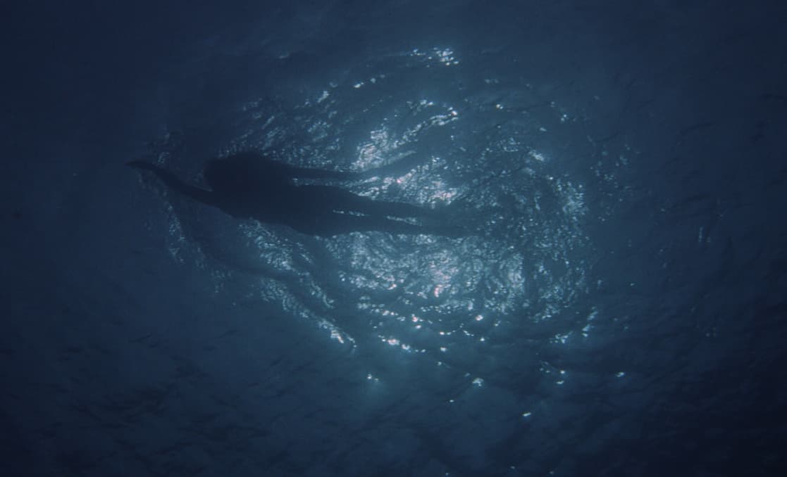 Surprising Facts And Trivia You Didn't Know About 'Jaws'