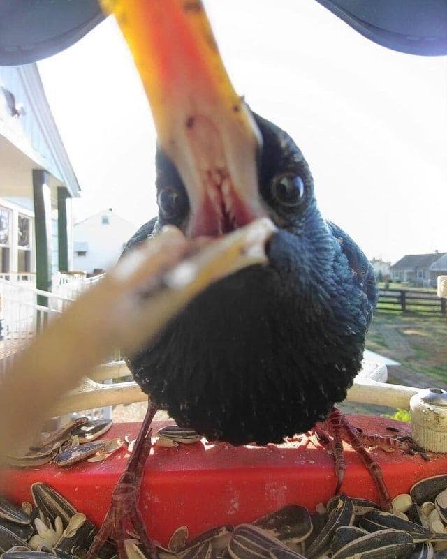 20 Mildly Disturbing Pictures That Seemed Fine At First, But That We ...
