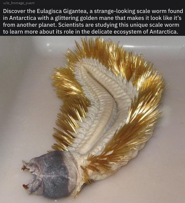 20 Mildly Disturbing Pictures That Seemed Fine At First, But That We ...