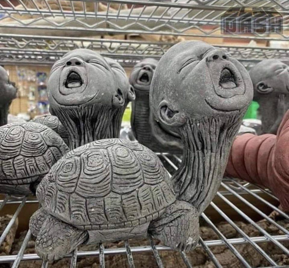 20 Mildly Disturbing Pictures That Seemed Fine At First, But That We ...