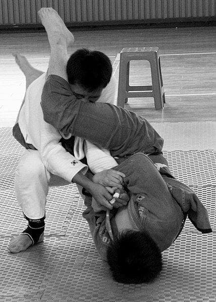 The History Behind 12 Hand-To-Hand Combat Styles