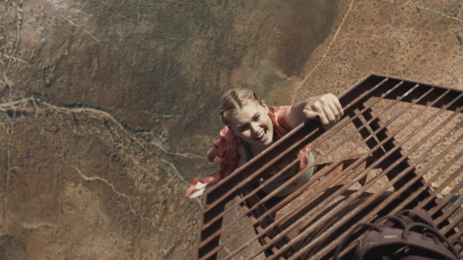 The 20 Best Horror Movies About Birds, Ranked By Fans