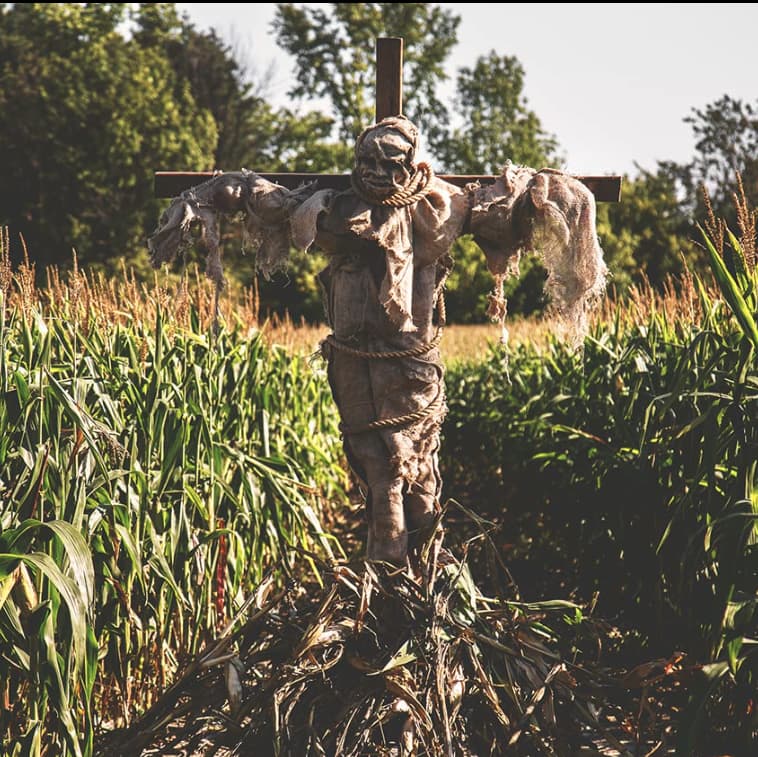 The Best Scarecrow Horror Movies For When You Can't Wait For Fall