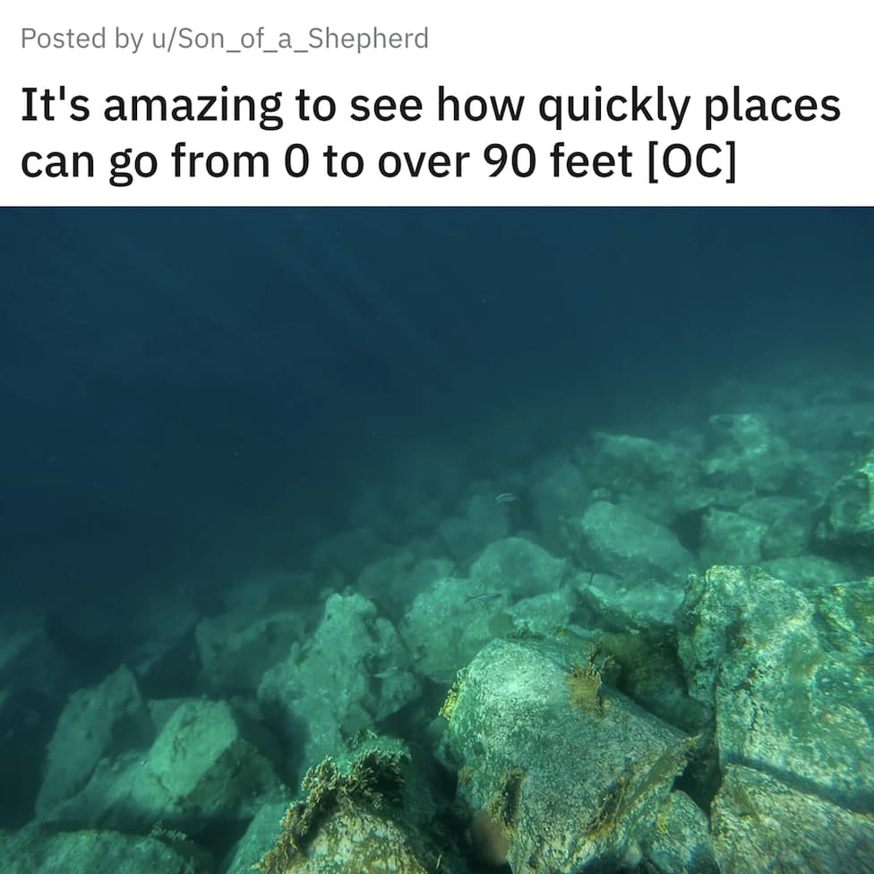 20 Unsettling Photos That Made Us Want To Avoid Deep Water Forever