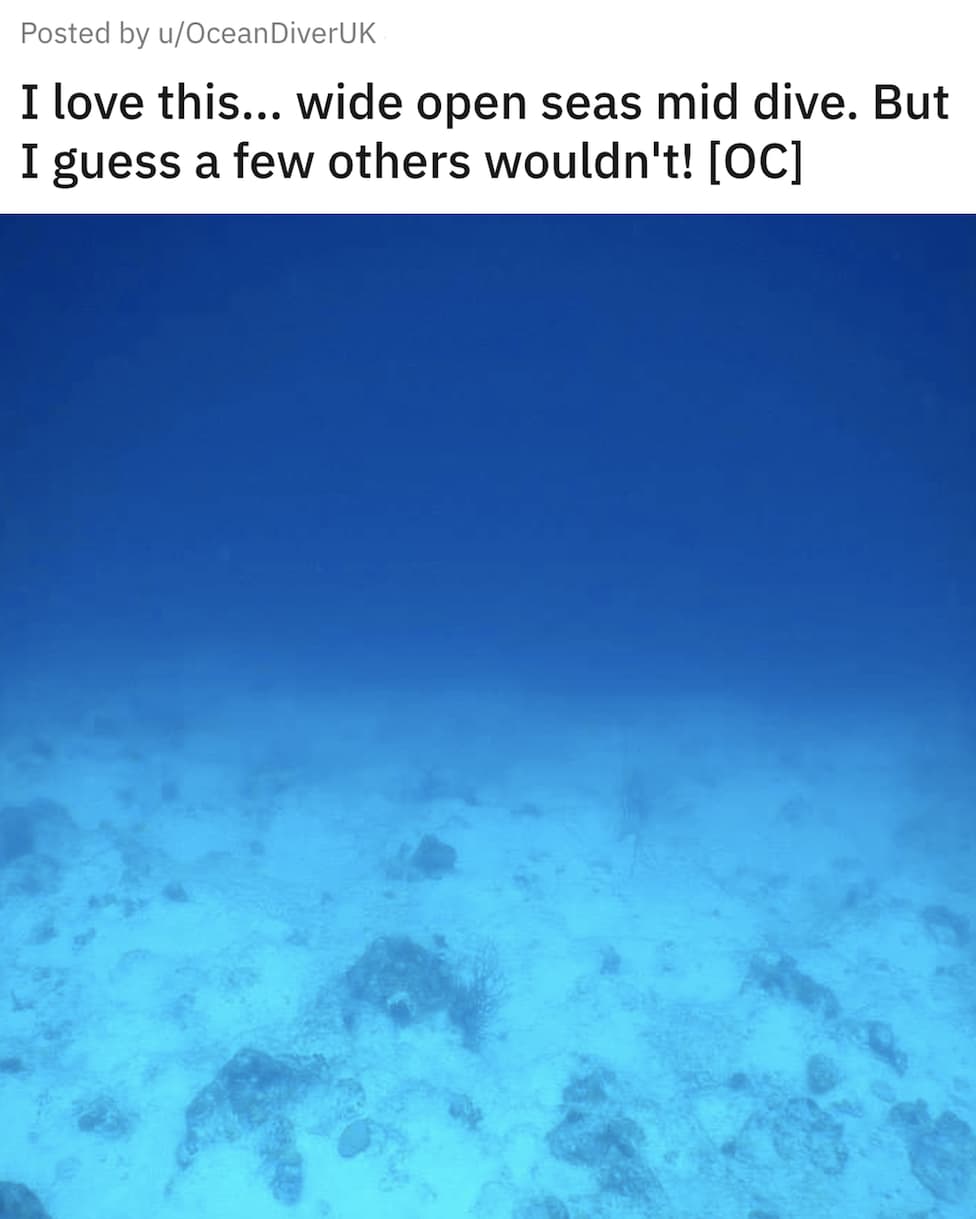 20 Unsettling Photos That Made Us Want To Avoid Deep Water Forever