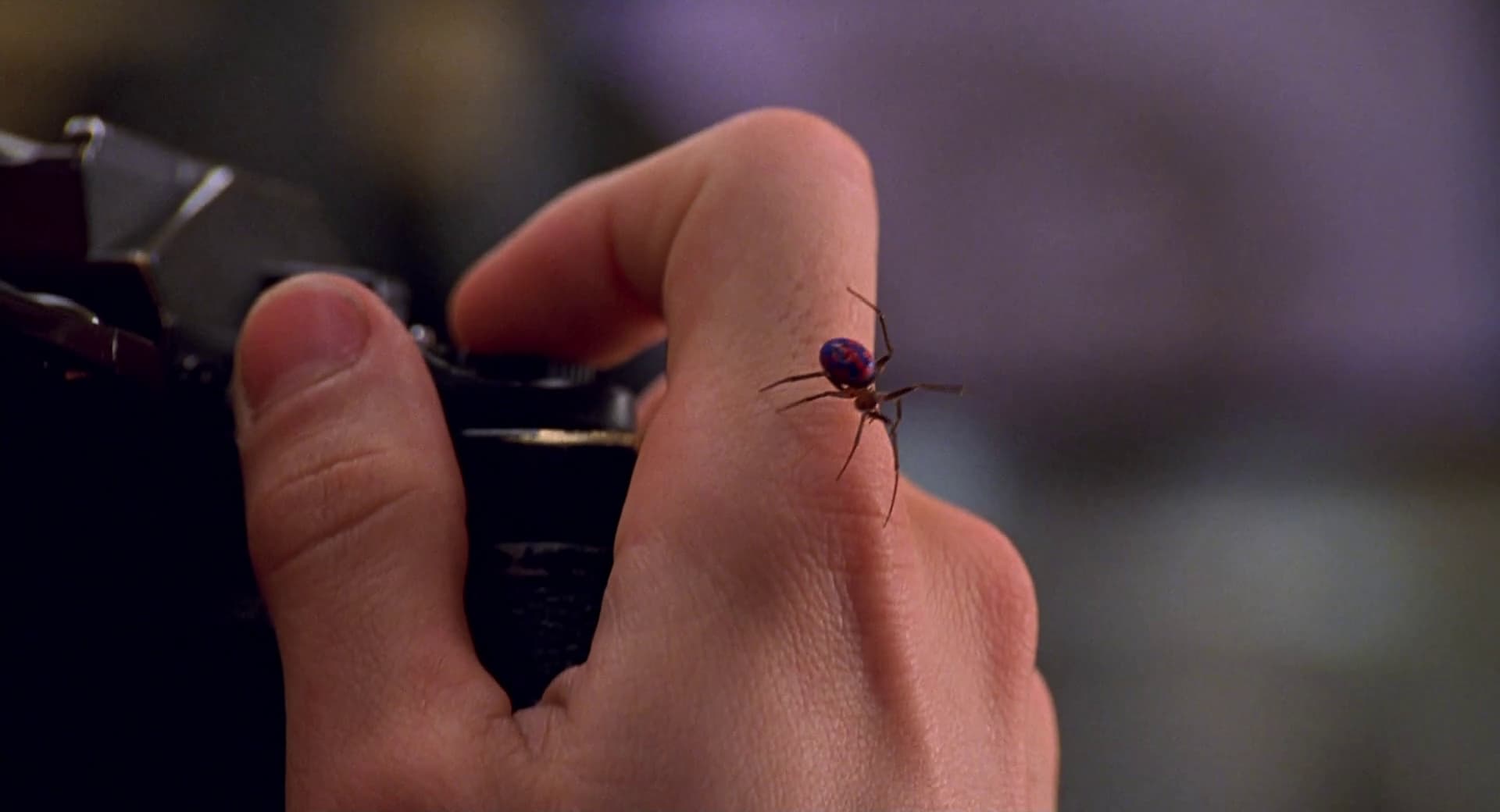 13 Fan Theories About The Super Soldier Serum That Will Change How You ...