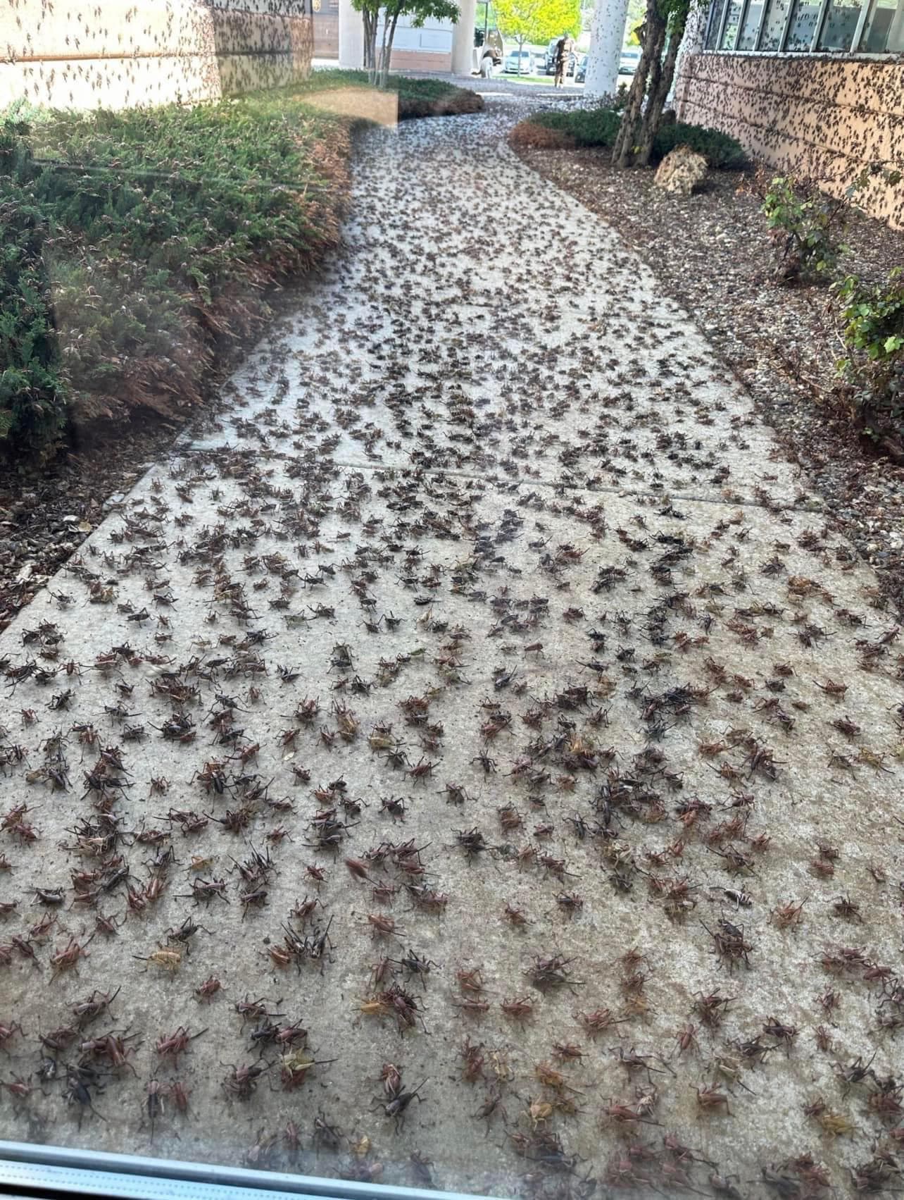 13 Deeply Cursed Images We Found This Week We Wish We Could Unsee
