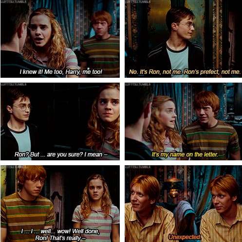 Things You Didn't Know About Ron And Hermione's Relationship