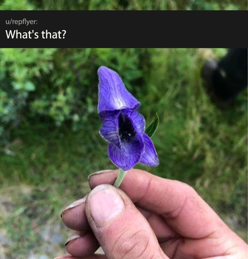 17 Times People Needed Help Identifying Mysterious Objects And Found ...