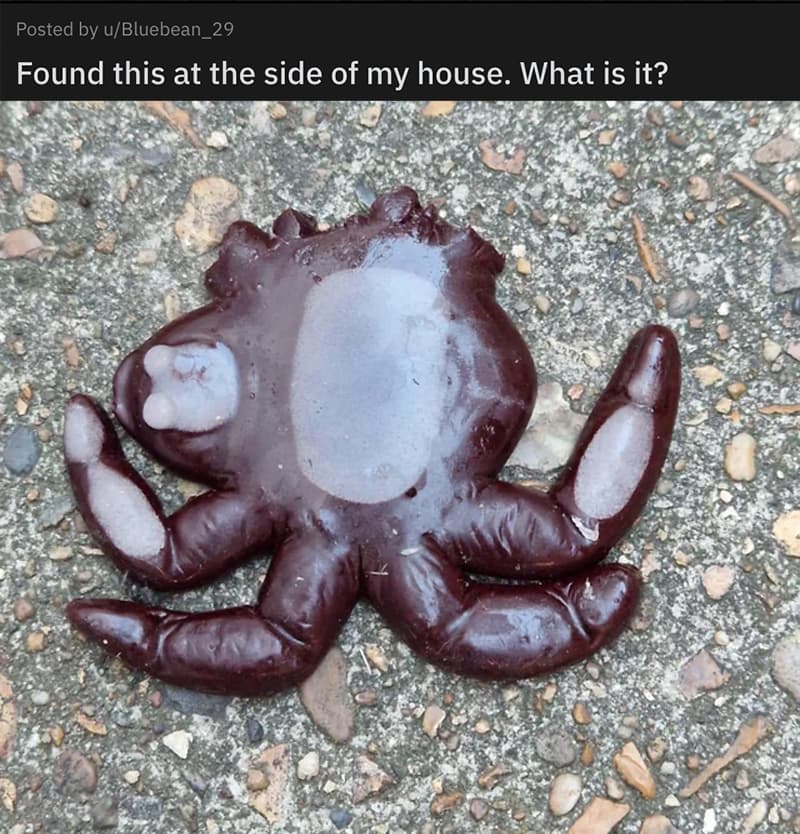 17 Times People Needed Help Identifying Mysterious Objects And Found ...