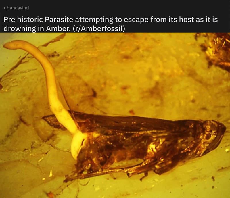 17 Times People Needed Help Identifying Mysterious Objects And Found ...