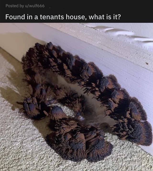 17 Times People Needed Help Identifying Mysterious Objects And Found ...