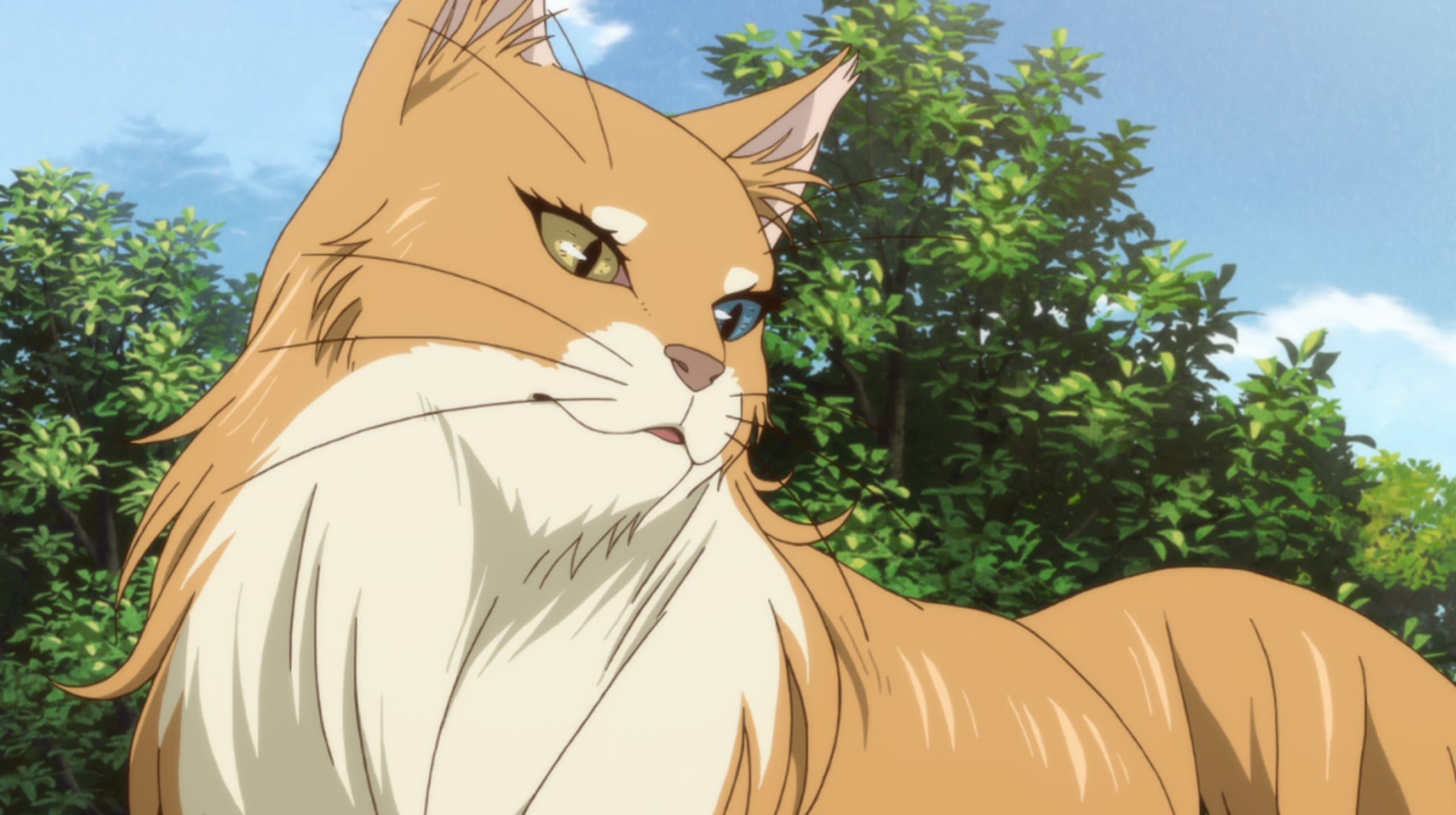 12 Mind-Blowing Mythological References In 'The Ancient Magus' Bride'