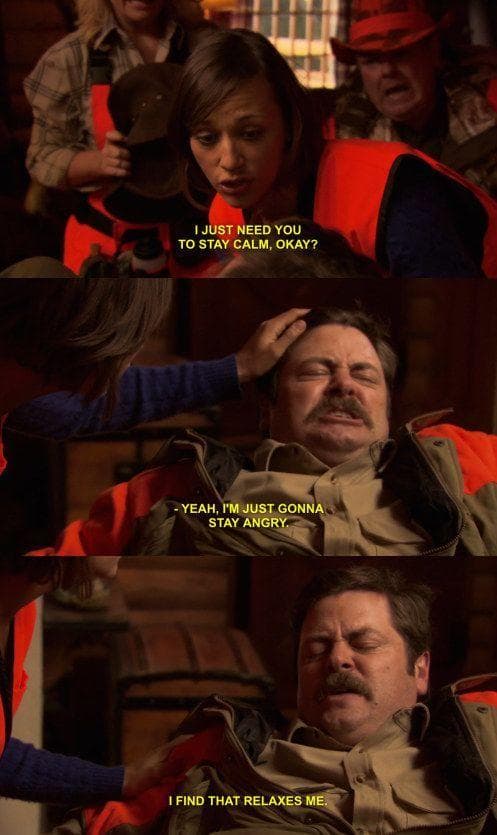 28 Ron Swanson Moments That Made Us Say 'Please And Thank You'