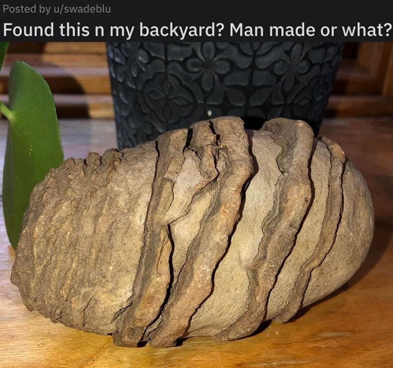 18 Times People Needed Help Identifying Mysterious Objects And Found ...