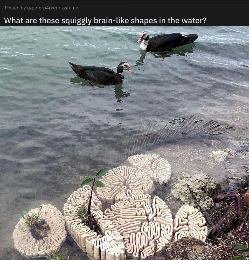 18 Times People Needed Help Identifying Mysterious Objects And Found ...