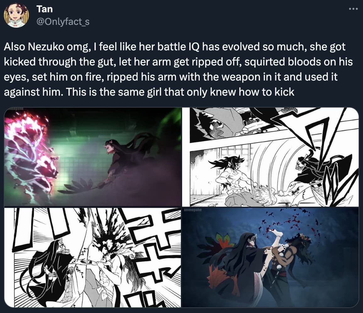 15 Interesting Details Fans Noticed About Nezuko From 'Demon Slayer'