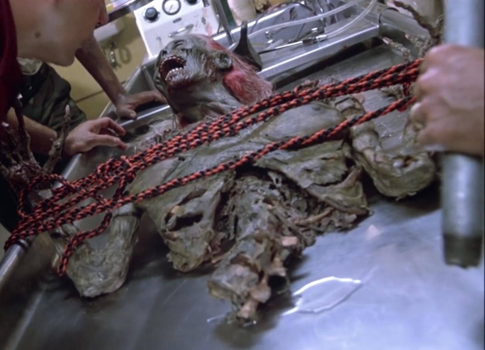 Interesting Details That Fans Spotted In Our Favorite Zombie Movies