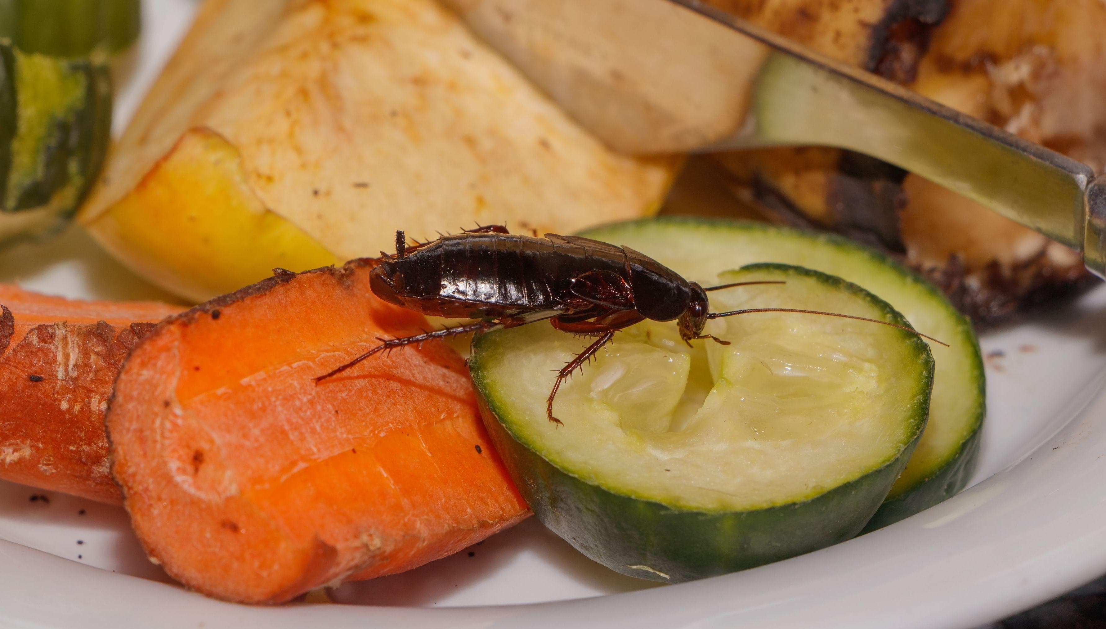 People Reveal The Darkest Food Industry Secrets They Know