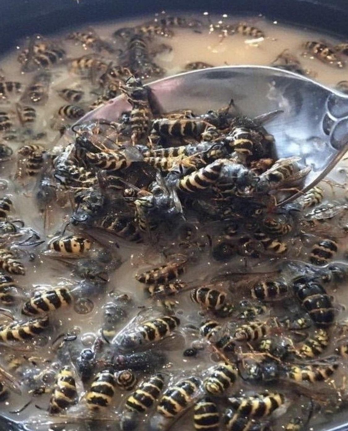 22 Deeply Cursed Images We Found This Week We Wish We Could Unsee