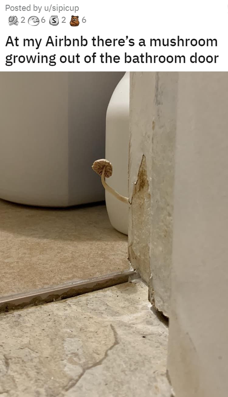 19 Airbnb Fails That Made Us Want To Book A Hotel Instead