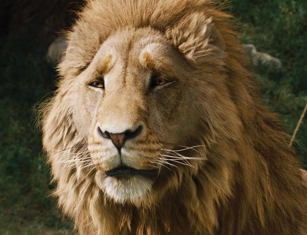 Things You Didn't Know About 'The Chronicles Of Narnia' If You've Only ...