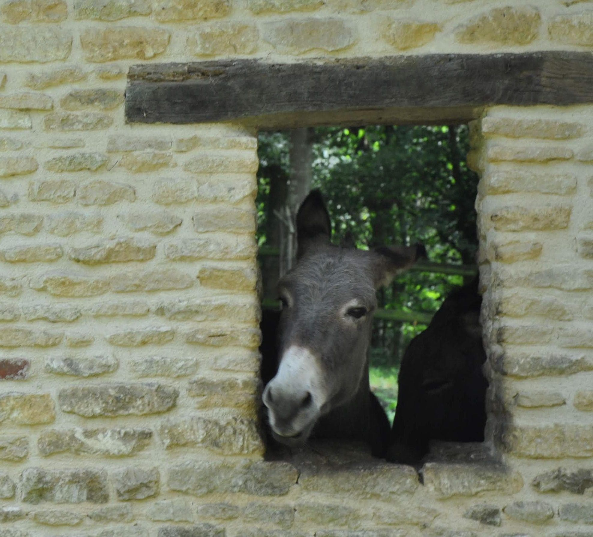 The Most Haunted Bridges In The World