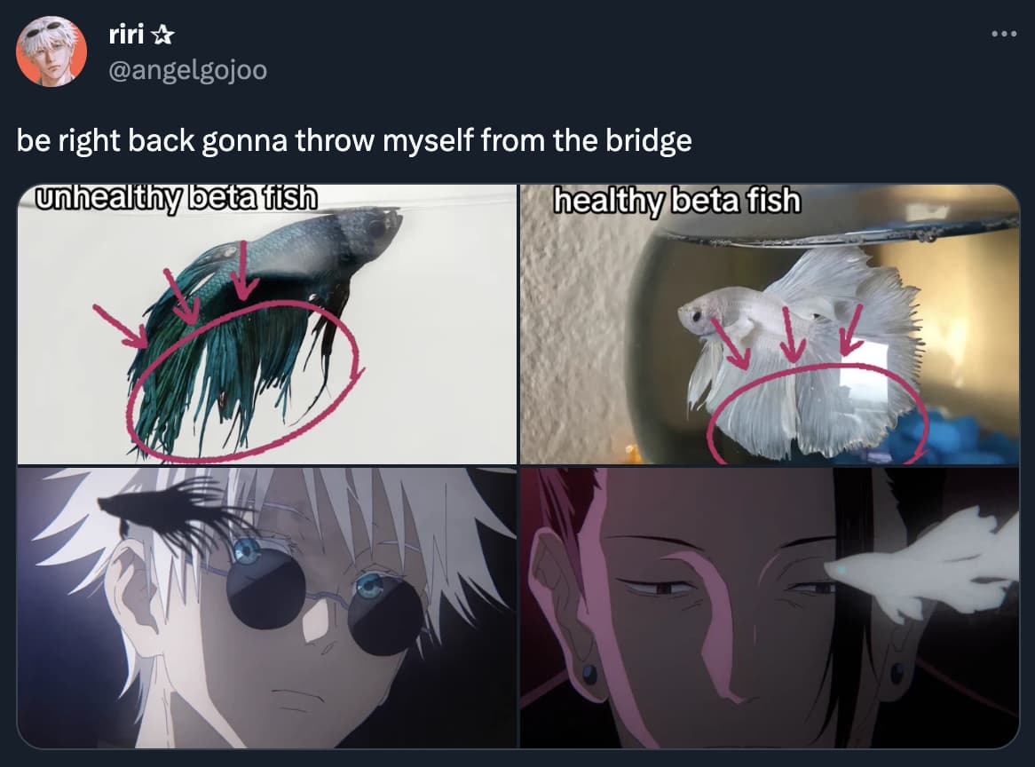 23 Interesting Things 'Jujutsu Kaisen' Fans Noticed About Gojo's Past Arc