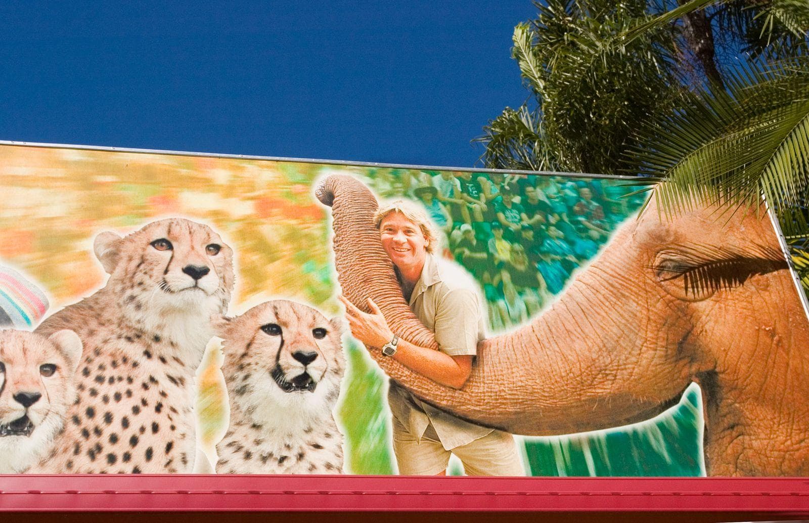 Strange Facts About Zoos