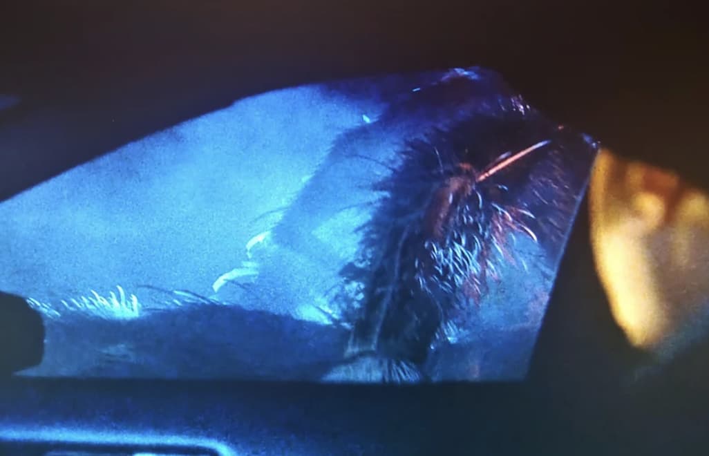 Small But Interesting Details From Primal Fear Movies